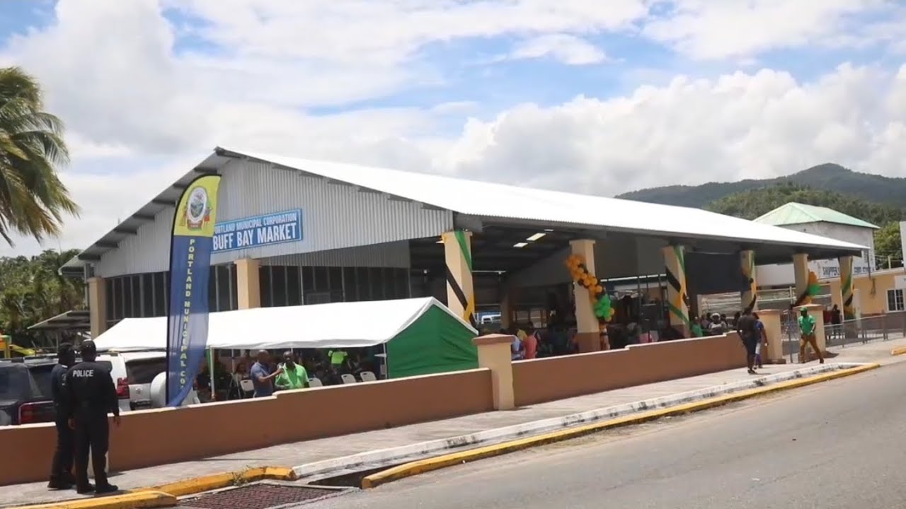 Local Government Minister Desmond Mckenzie Official Opening Of The Buff ...