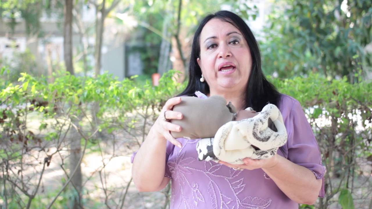 Parto tradicional - Minuto Mega Gestante e Bebê - YouTube