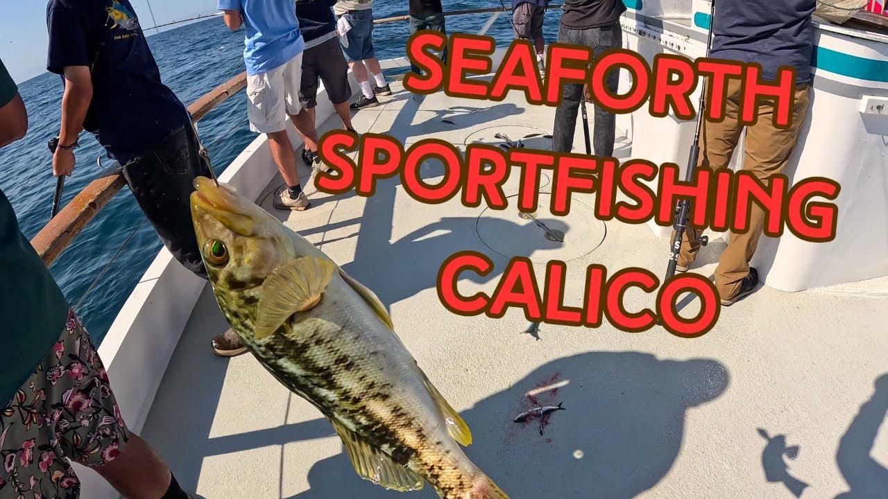San Diego Calico Fishing on the New Seaforth - YouTube