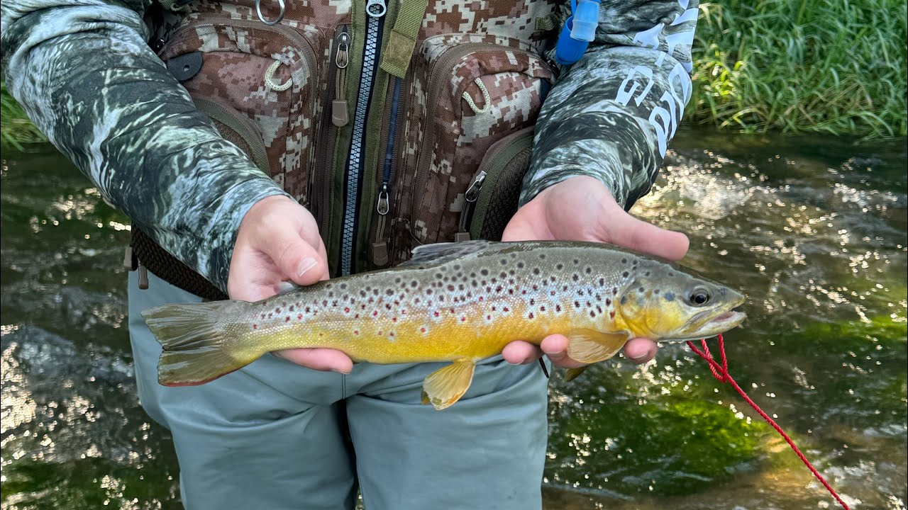 Catching Trout in Wisconsin! (New Personal Best) - YouTube
