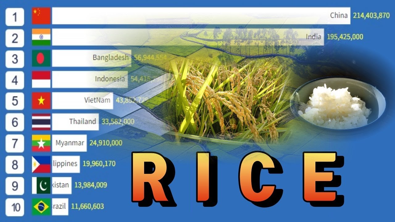 Top 10 Countries by Rice Production - YouTube