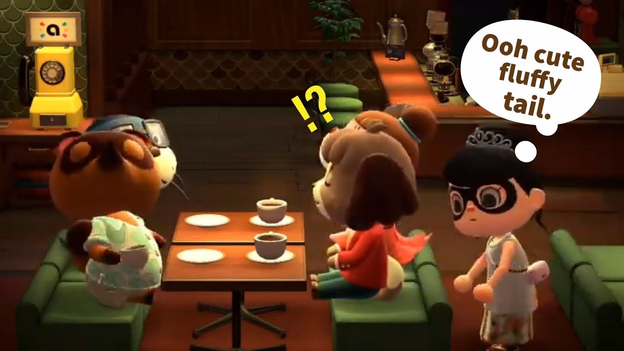 NOOK,LOTTIE,DIGBY HAVING COFFEE (The Roost) -ACNH Nintendo Switch - YouTube