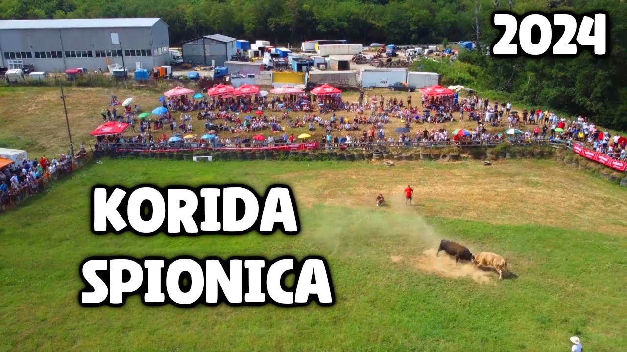 Korida Spionica 2024 - YouTube
