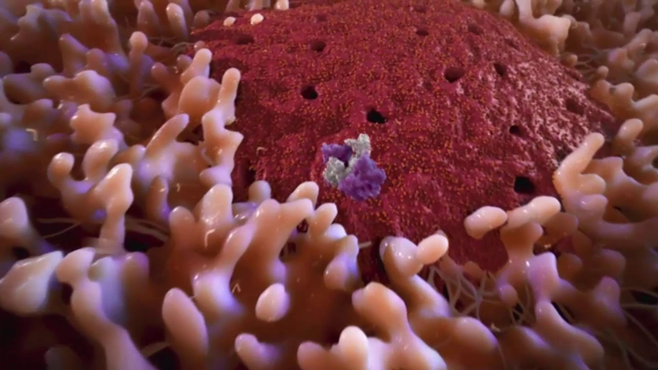 Exploring the Nano World - YouTube