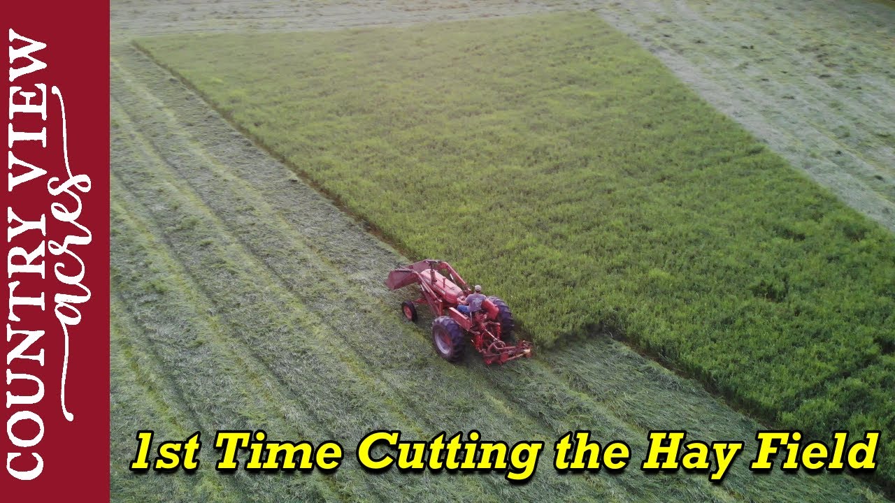 Cutting the Hay Field for the First Time. But I got hurt afterwards ...