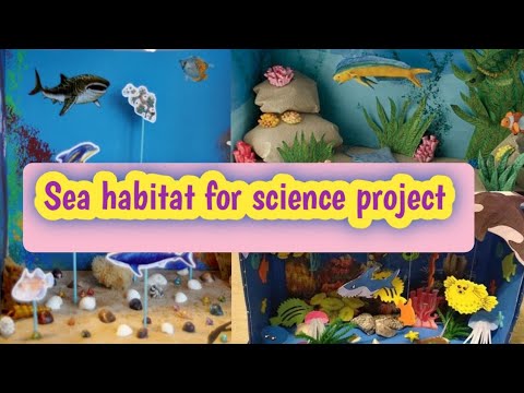 aquarium making model diy|Science project |sea habitat |sea animals ...