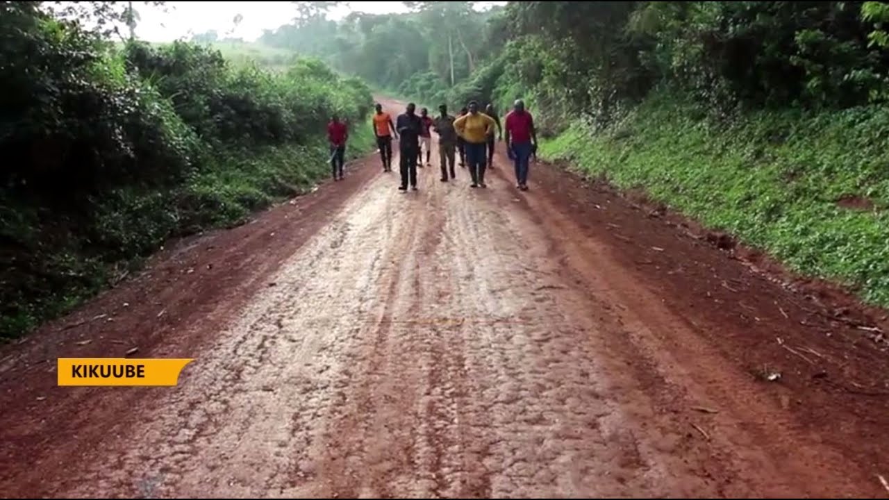 RESTORATION OF BUGOMA CENTRAL FOREST RESERVE: NFA, WORLD BANK FUNDING ...