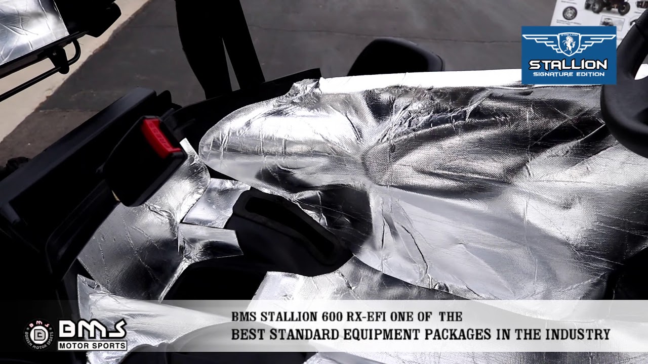 BMS STALLION 600 FEATURES REVIEW - YouTube