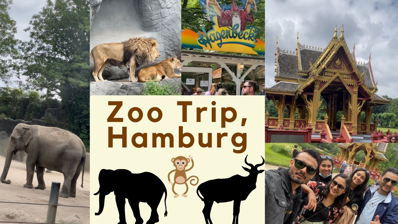 Tierpark Hagenbeck | Hamburg Zoo Tour | Germany - YouTube