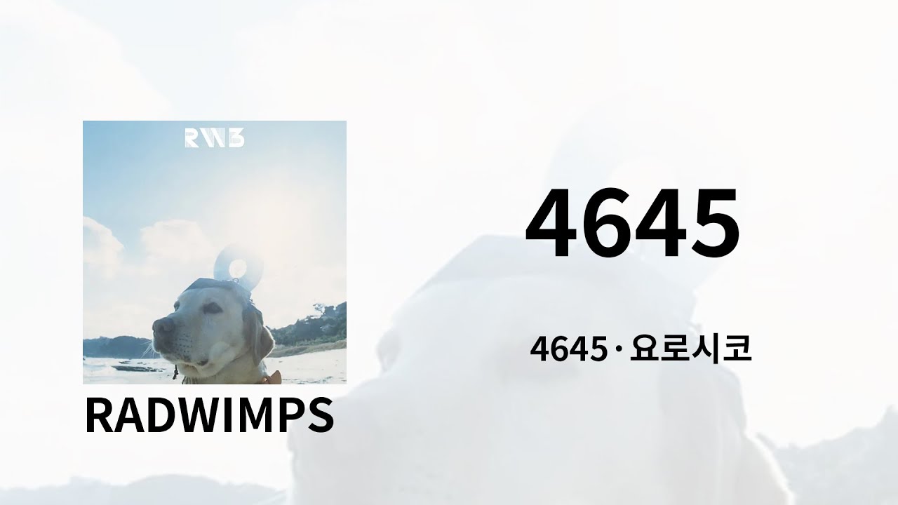 우리의 결혼은 분명 멋진 일일 거야 💍| RADWIMPS - 4645(잘 부탁해) 가사/독음/번역 - YouTube