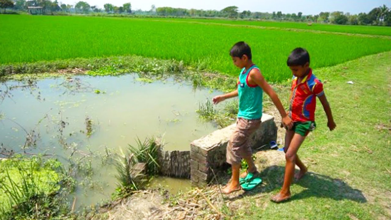 Village Traditional Fish Catching with beautiful nature by Village Kids ...