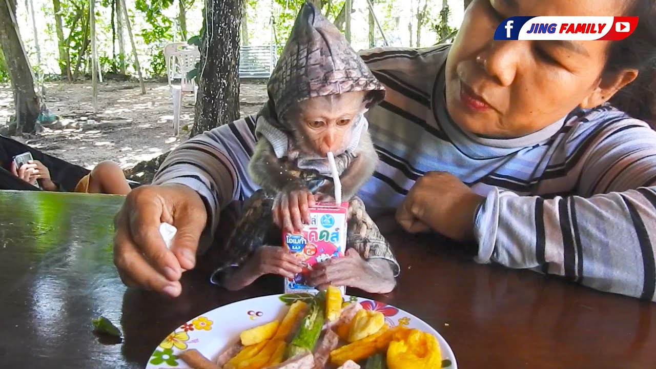 Hungry Ji Ji Stuffs Her Face With Veggies Chips - YouTube