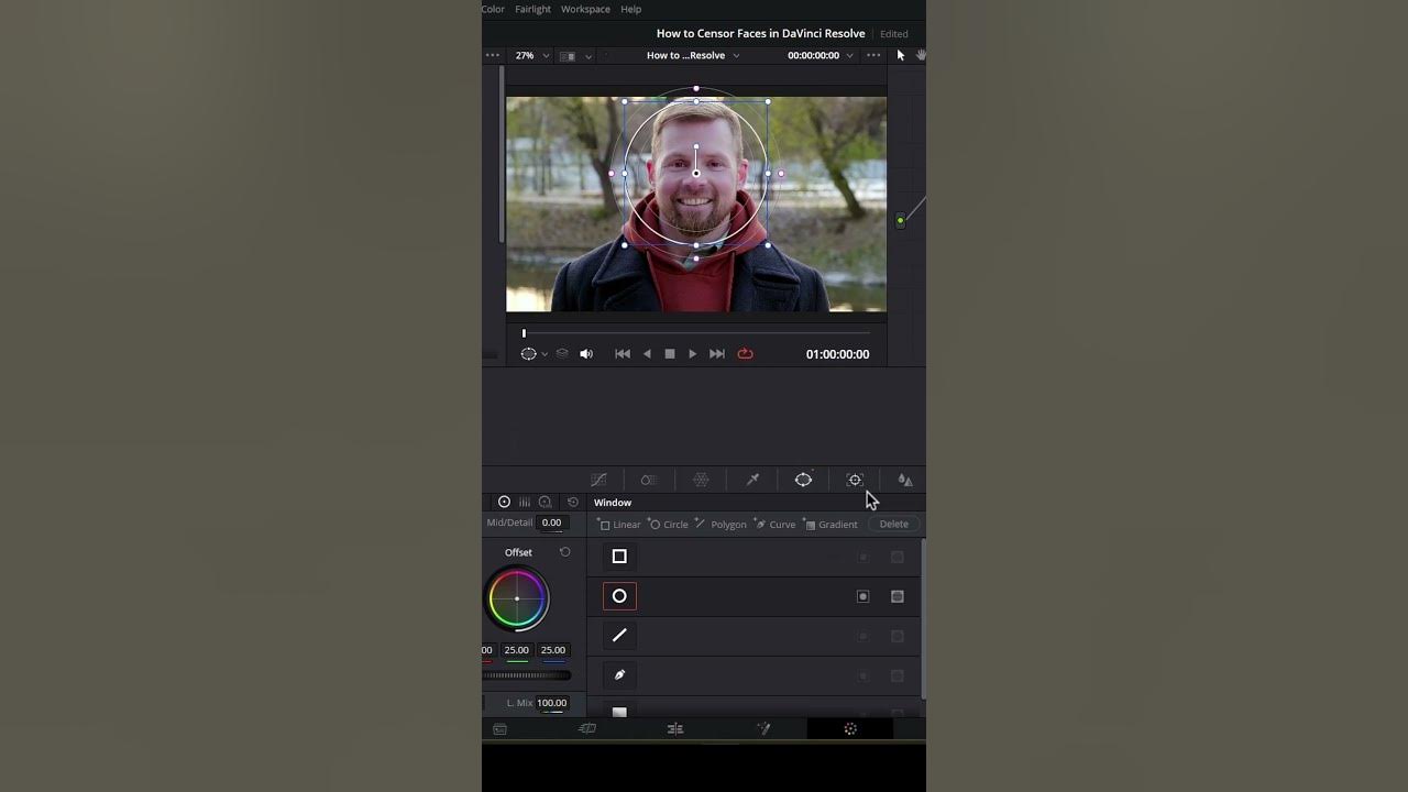 How to Censor Faces in DaVinci Resolve - YouTube