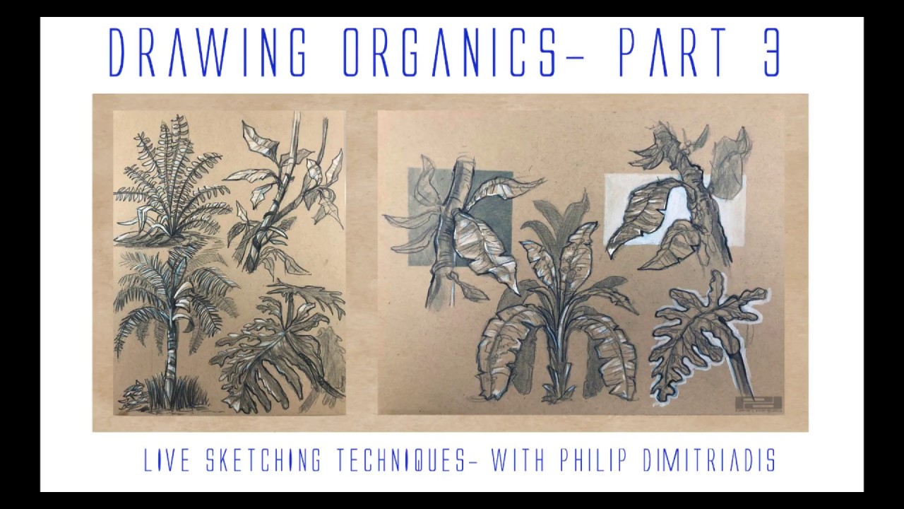 DRAWING ORGANICS- PART III - YouTube