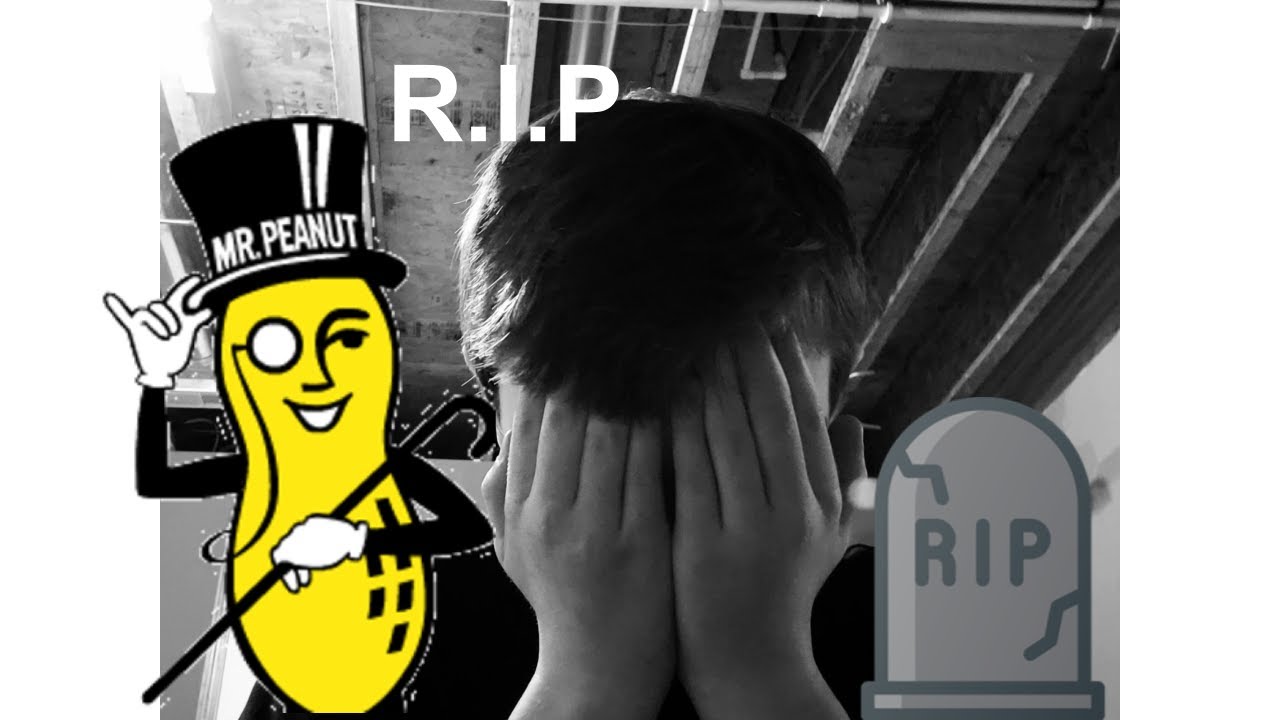 My reaction to Mr. Peanuts death.(sad) - YouTube
