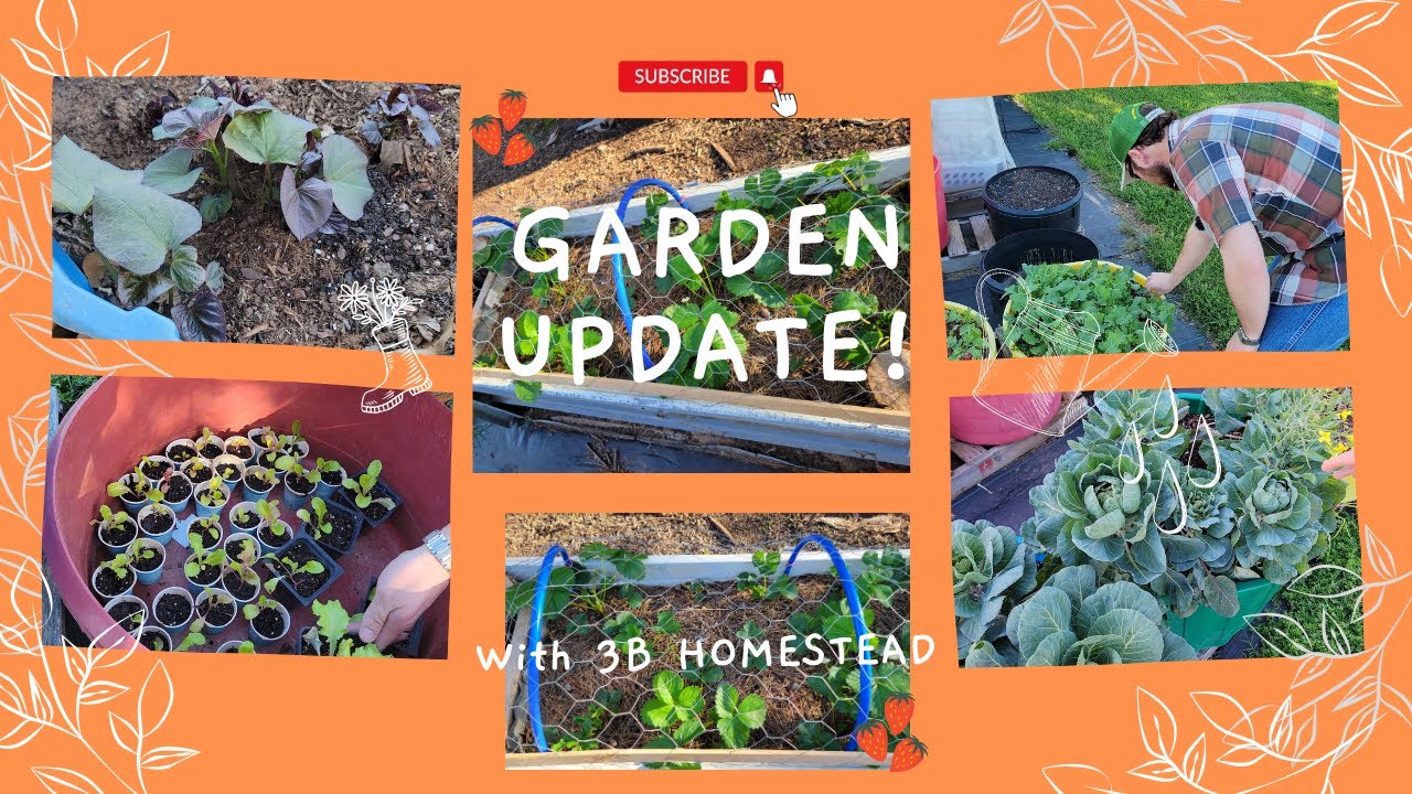 WOW! LOOK HOW MUCH THEY'VE GROWN!! - YouTube