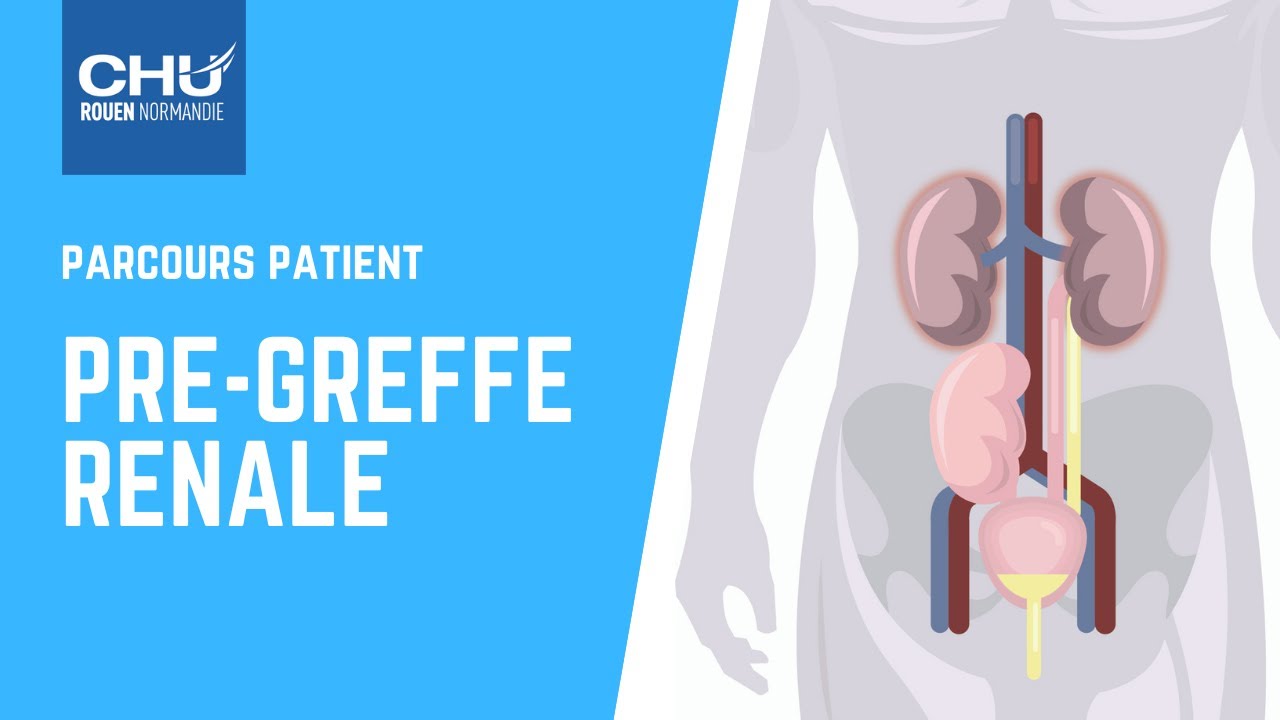 Le parcours de pré-greffe rénale - YouTube