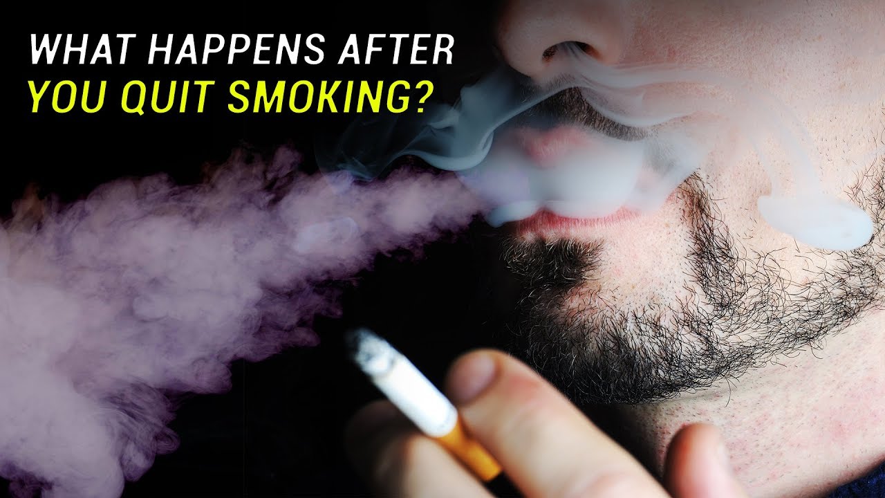 What Happens After You Quit Smoking Youtube