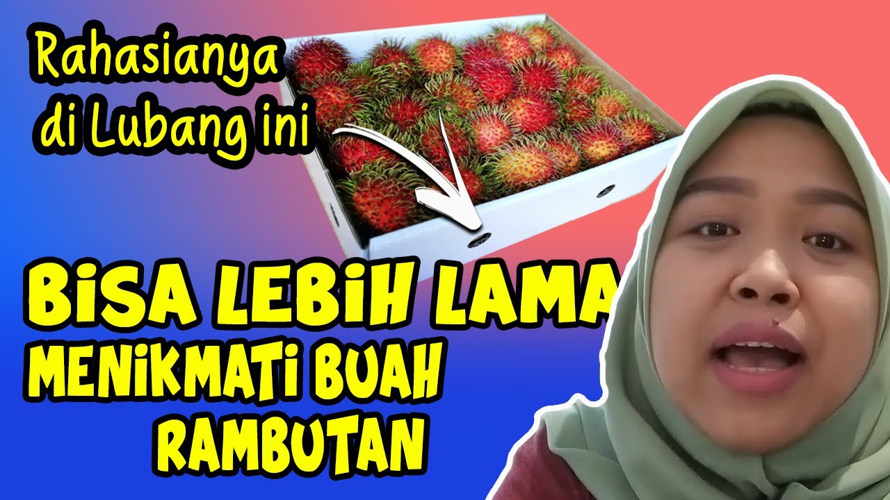 Buah rambutan di Rumah Mudah Busuk? Begini Caranya Agar Tahan Lama ...