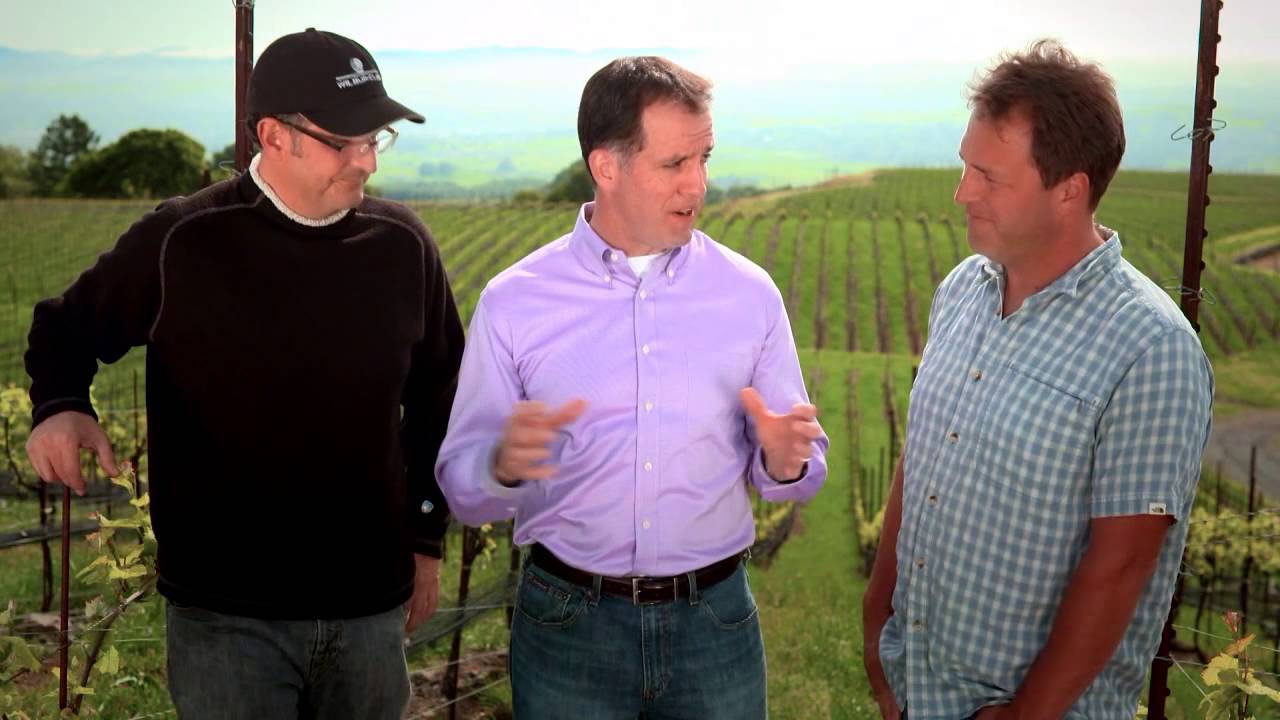 Cellar Angels Presents: Fogline Vineyards - YouTube