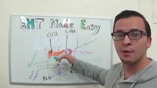 EMT Abdominal Anatomy and Abdominal Injuries | Doovi