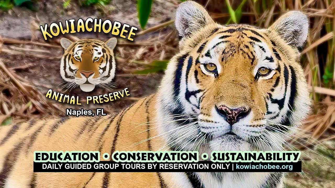 Kowiachobee Animal Preserve in Naples, Florida, a Fun & Educational Experience for the Entire ...