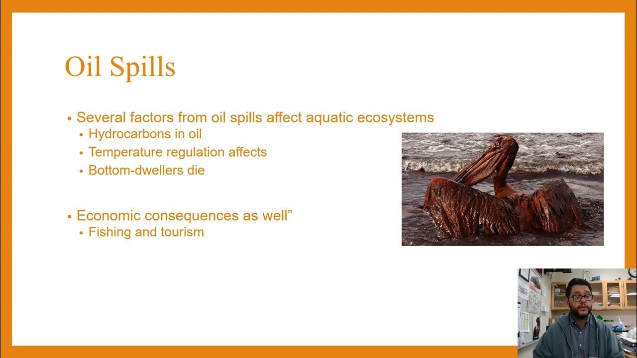 Unit 8, Topic 2, Human Impacts on Ecosystems - YouTube