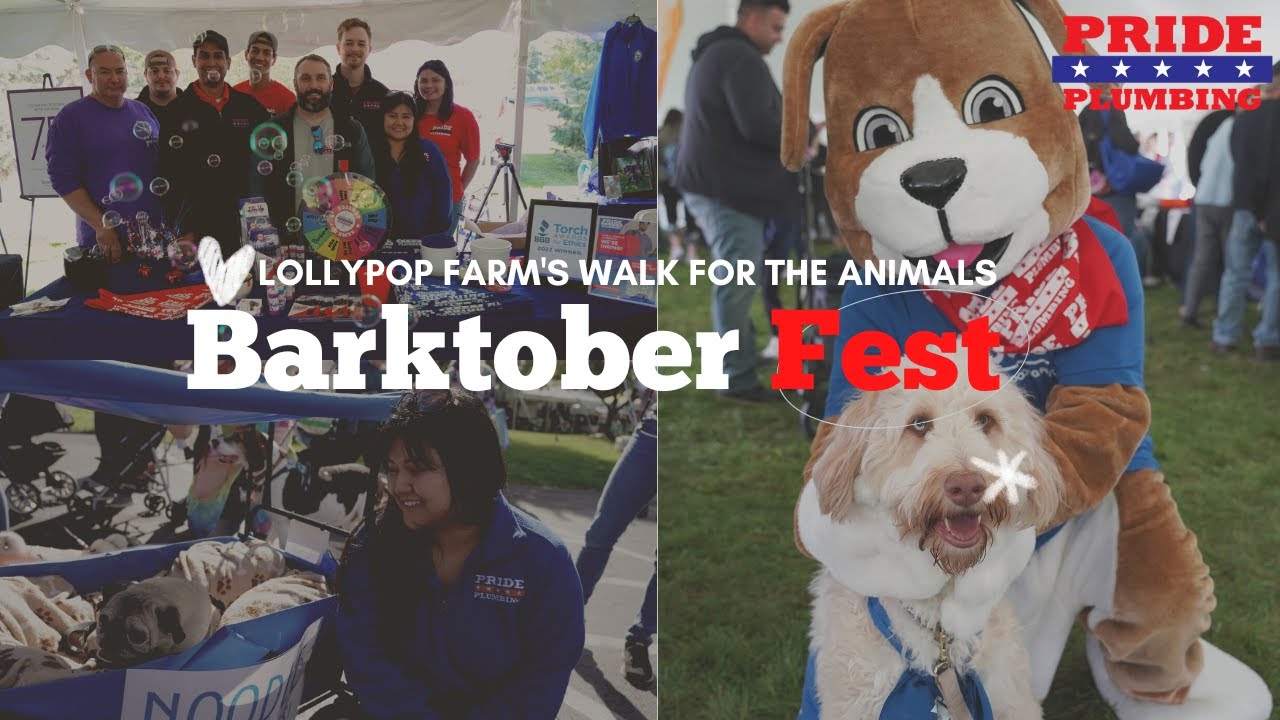 🐶 Pride Plumbing at Lollypop Farm's Barktober Fest 2022 🐶 - YouTube