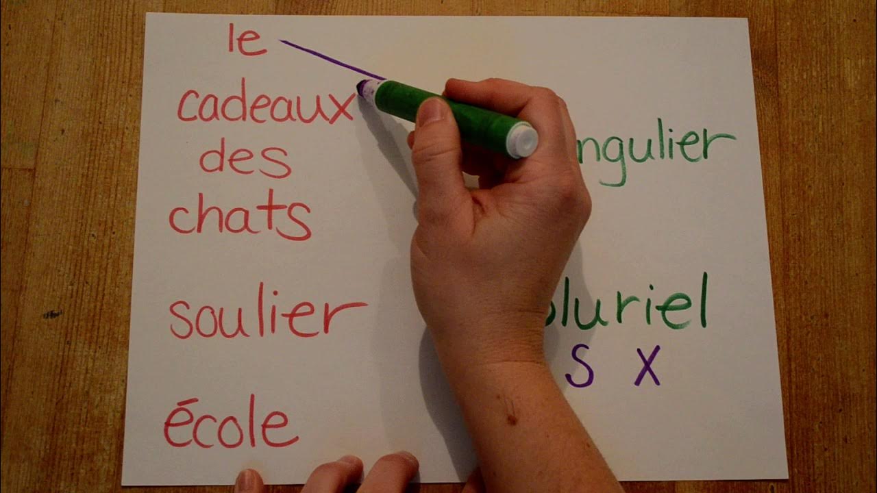 Français-le nombre du nom et du déterminant singulier ou pluriel - YouTube