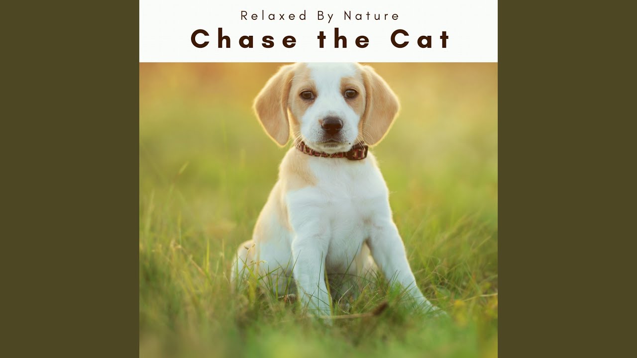 Sound of Hard Dog REM Phase - YouTube