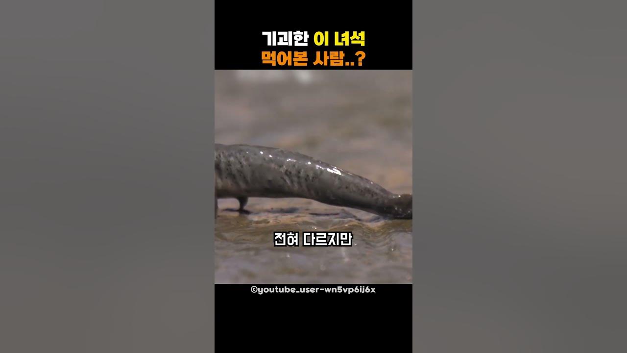 기괴한 이 녀석 먹어본 사람 Youtube