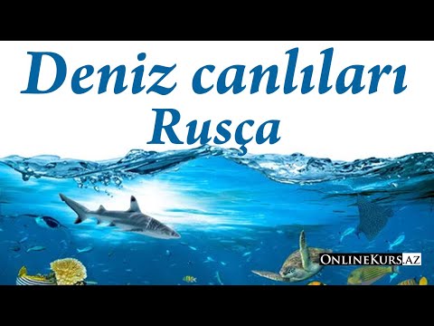 Deniz canlıları rusça