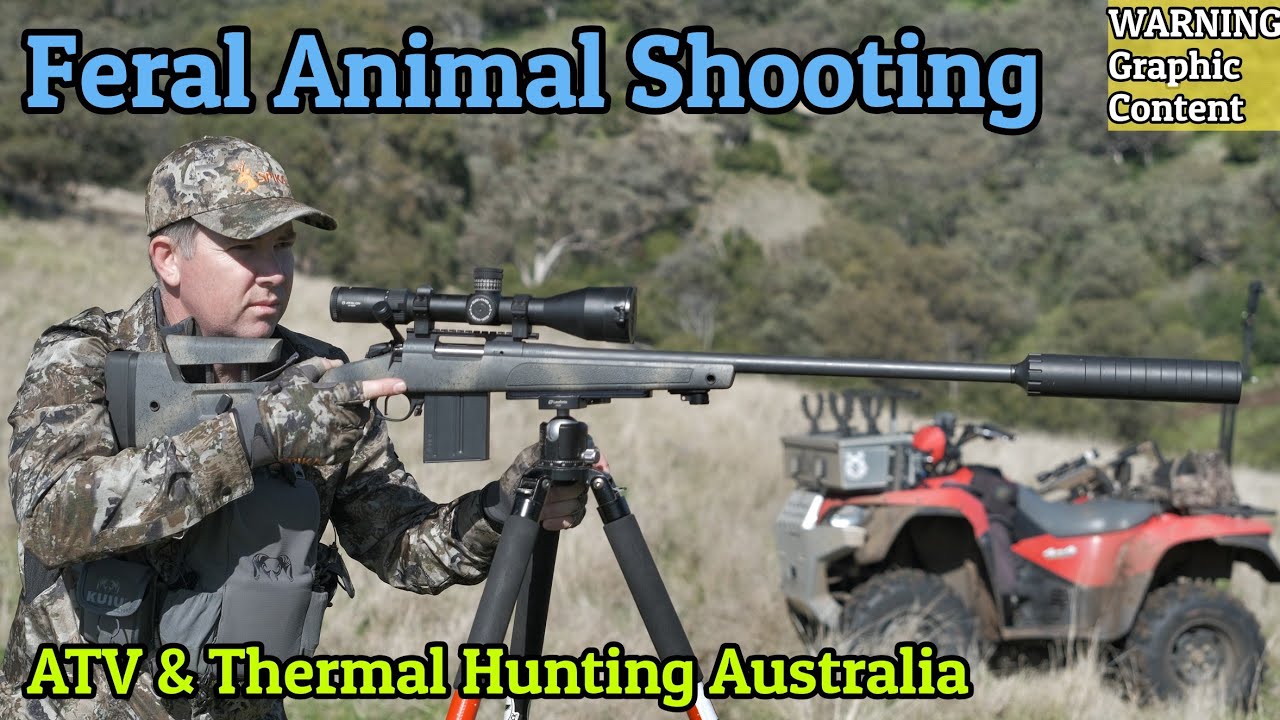 Evasive Maneuvers || Shooting Feral Pigs & Foxes || Kill Shots with ...