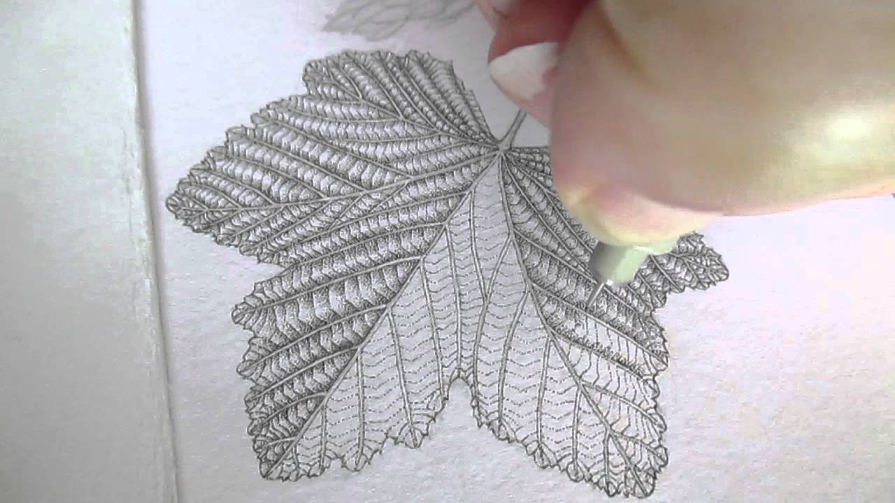 1) Stippling a Leaf in Ink - YouTube