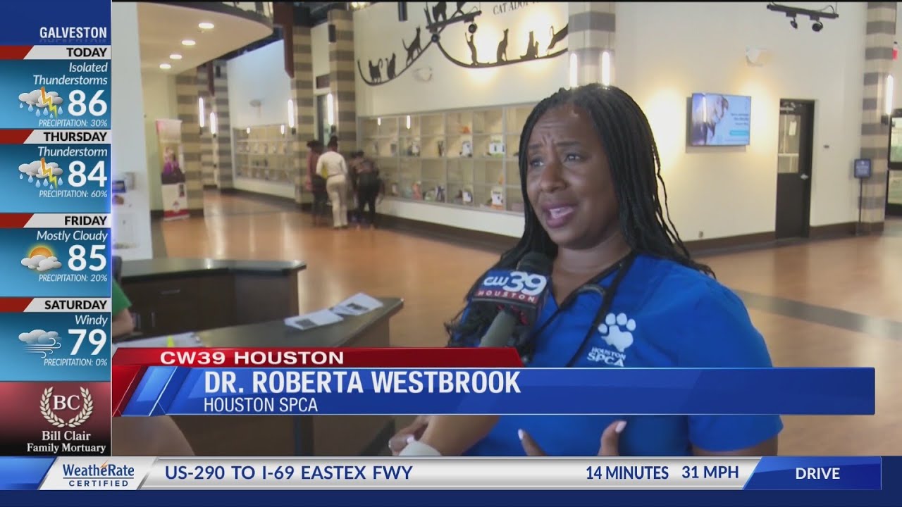 Houston SPCA's Dr. Westbrook explains the importance of pet ...