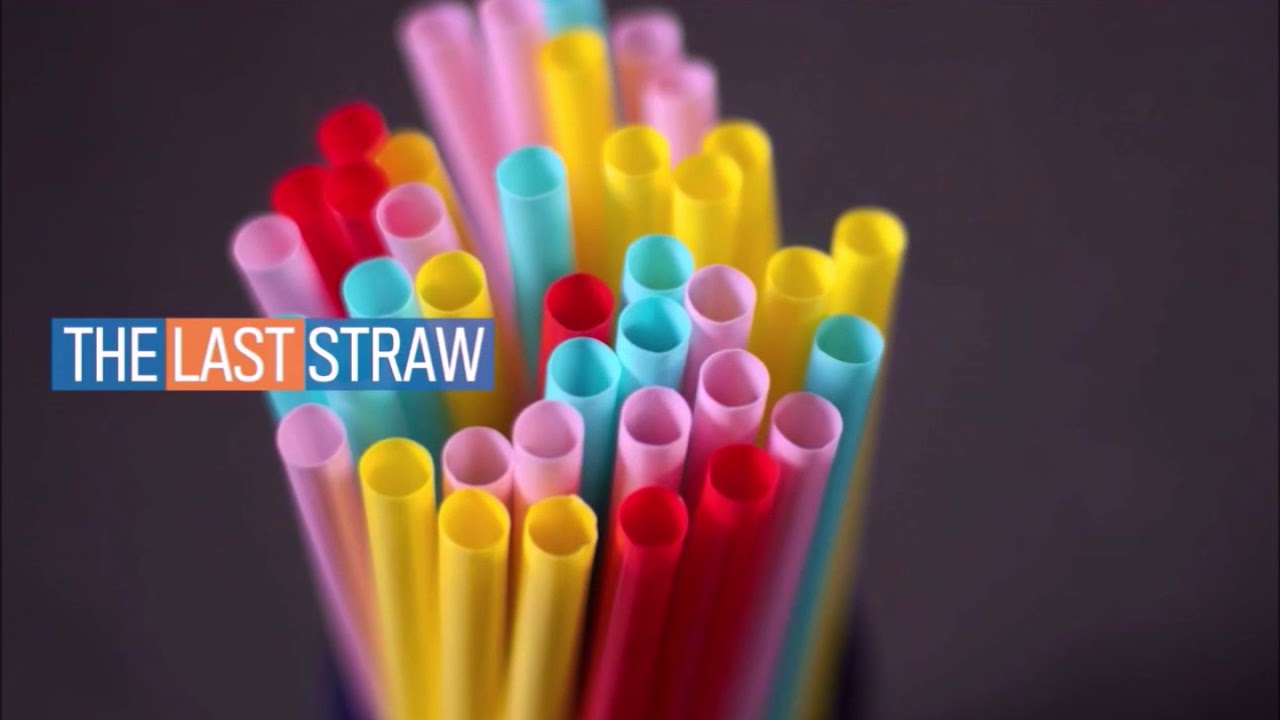 The Last Straw, The collapsible, folding , keychain reusable drinking ...