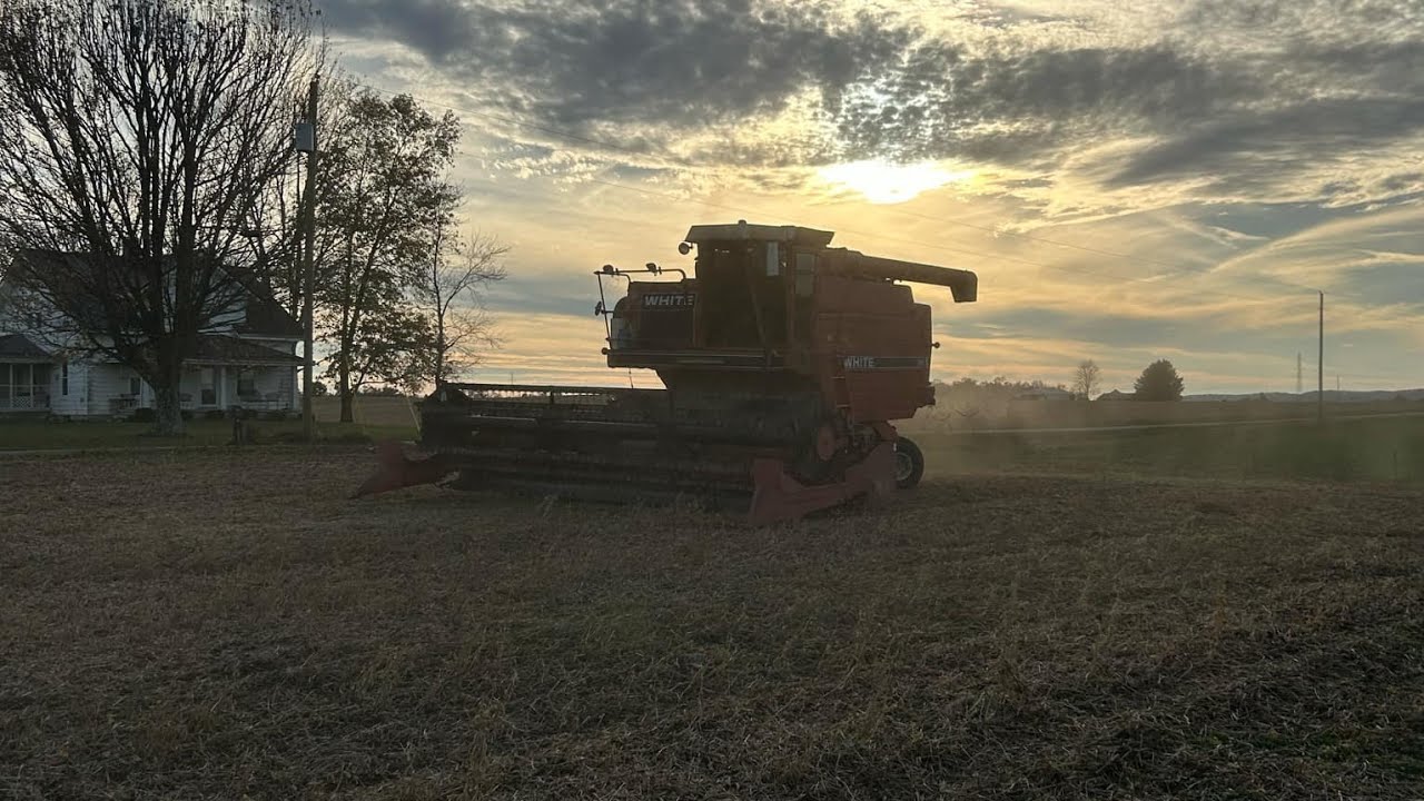 finishing double crop beans and Brandon finished planting wheat - YouTube