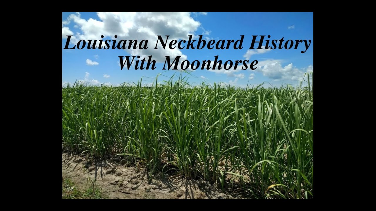 Louisiana Neckbeard History: Episode Four - "Friends With Beards" Part ...