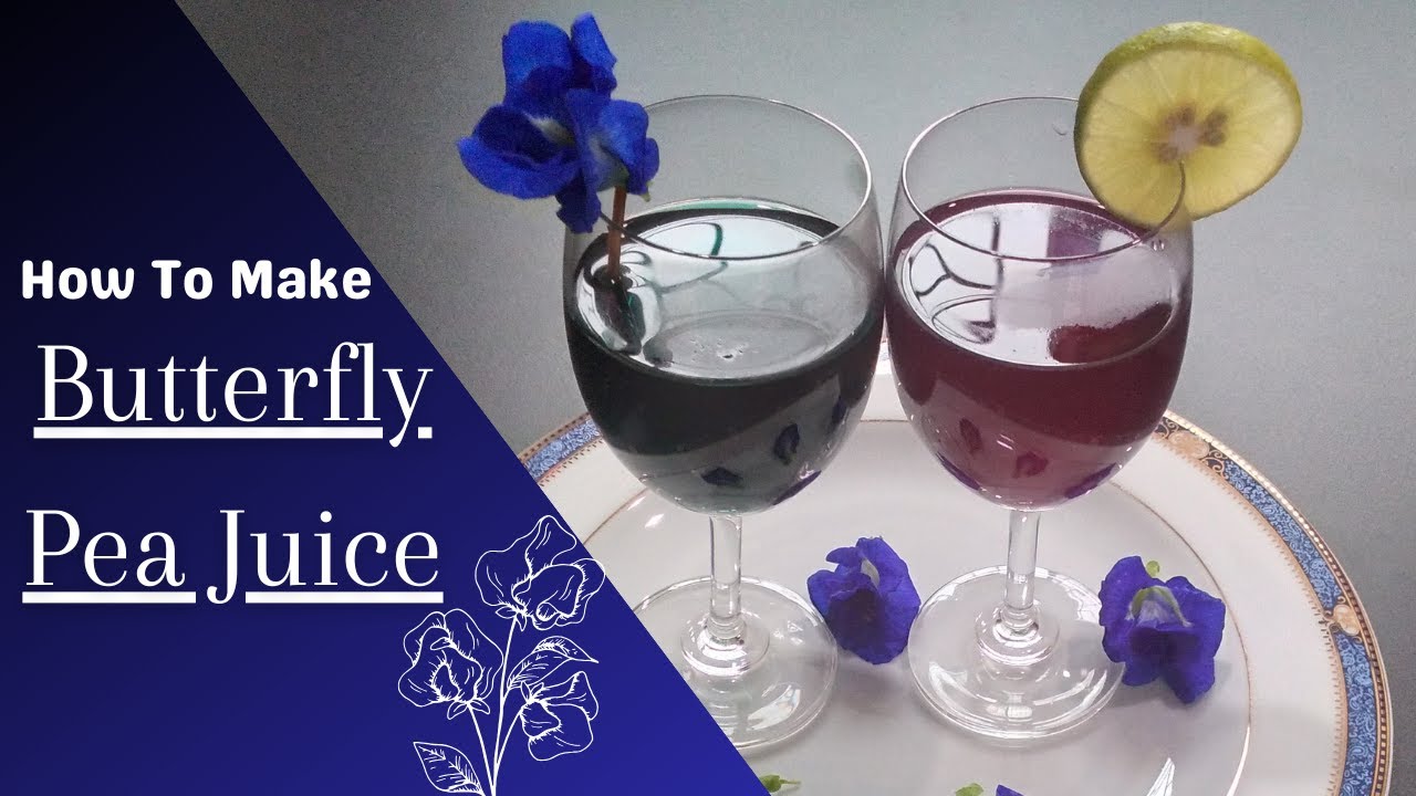 How To Make Butterfly Pea Juice! ( Step By Step Guide ) - YouTube