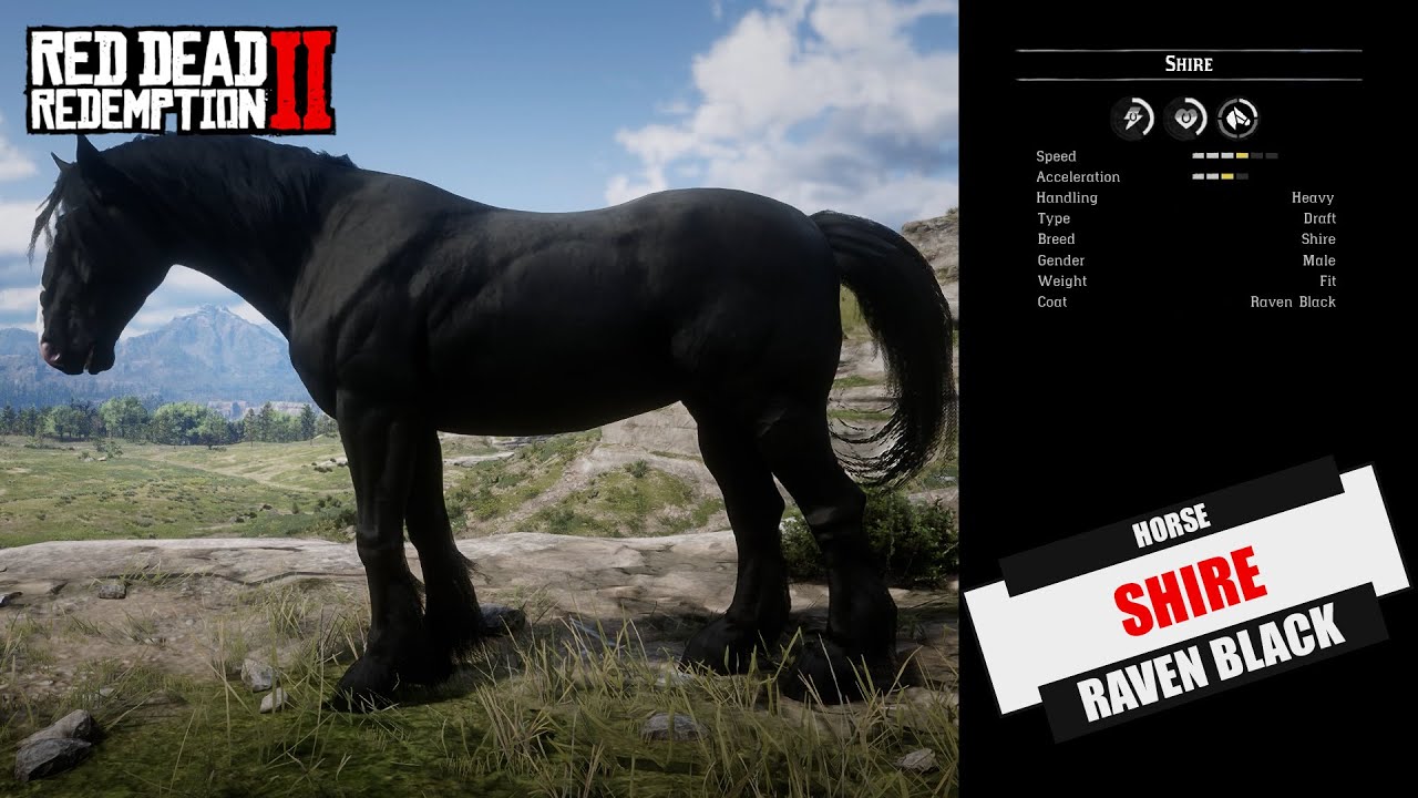 How to get the Shire Raven Black horse for free. RDR2 - YouTube
