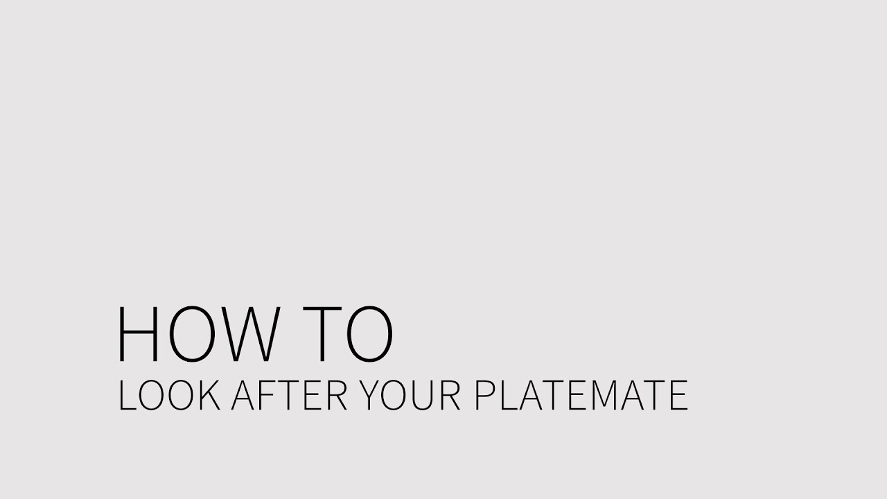 How to look after your Platemate - YouTube