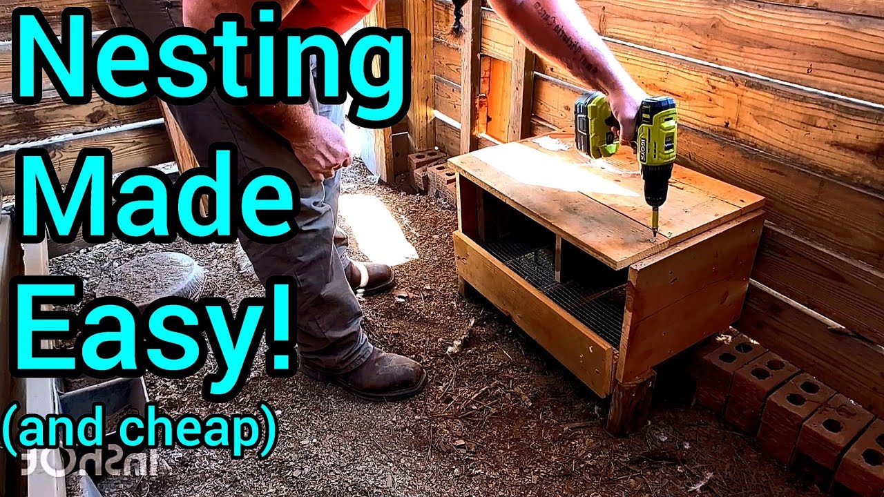 DIY Nesting Box: How do you build on a Budget? - YouTube