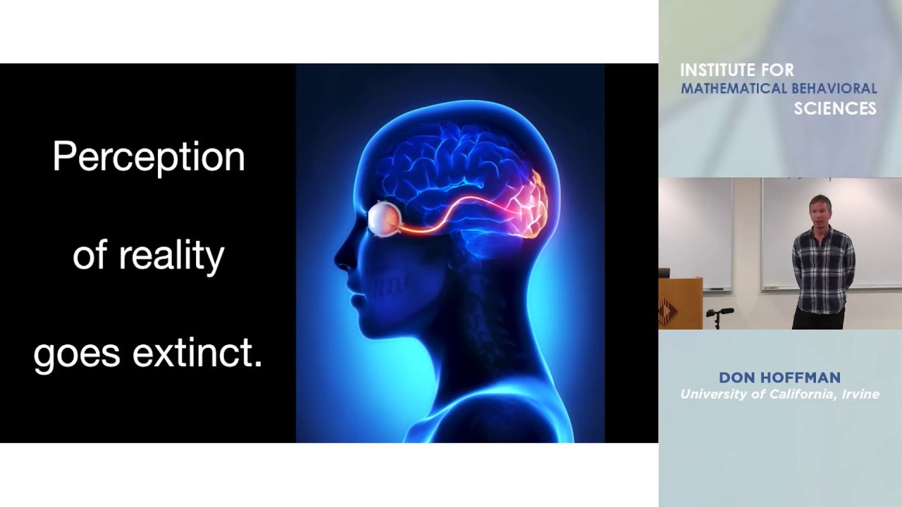 Don Hoffman - "Symmetry Does Not Entail Veridicality" - YouTube