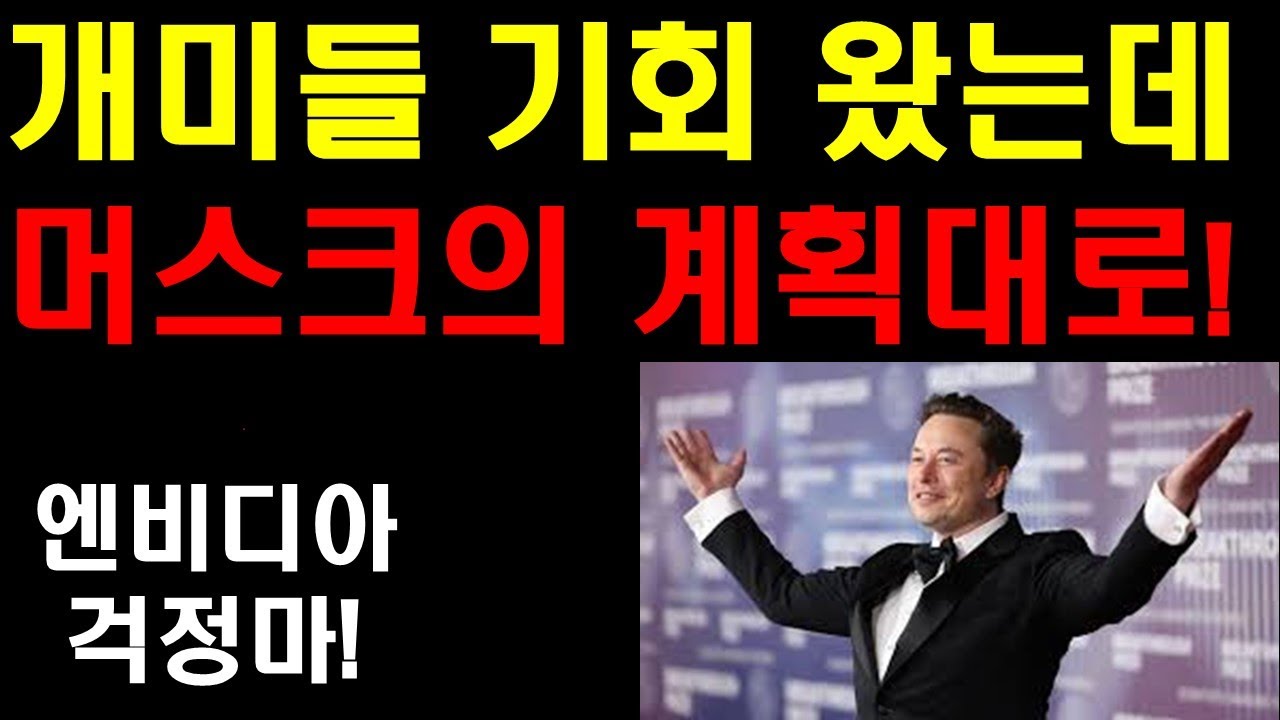 개미들 기회가 왔는데 머스크의 계획대로 테슬라 인도시장에서 금광 캐나 머스크가 도지에 몰입하는 이유 엔비디아 여전한 기대