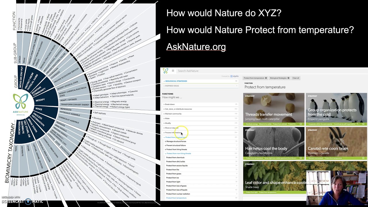 BIOMIMICRY TAXONOMY SHORT VIDEO - YouTube