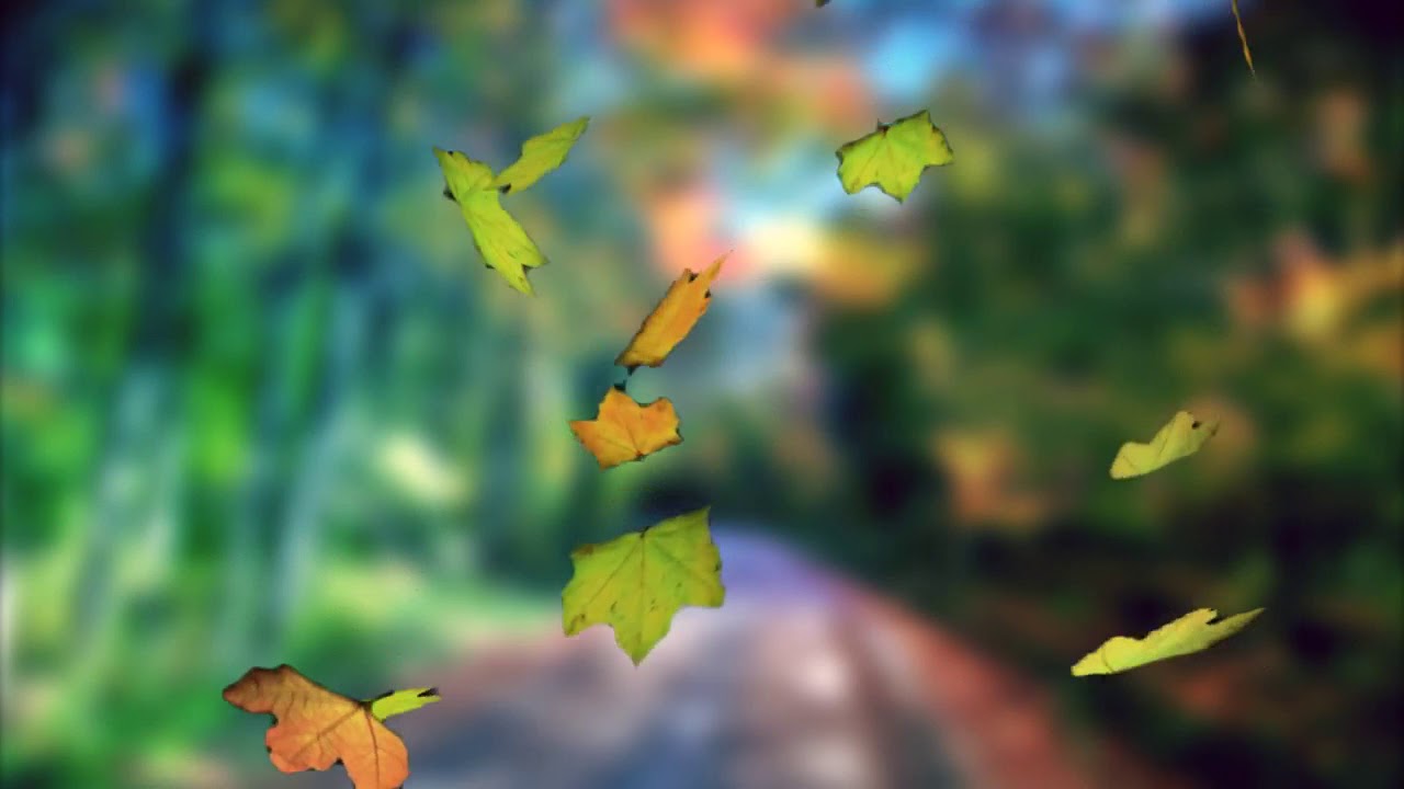 Free Stock Video Footage Falling Green Leaf Tree Background HD - YouTube