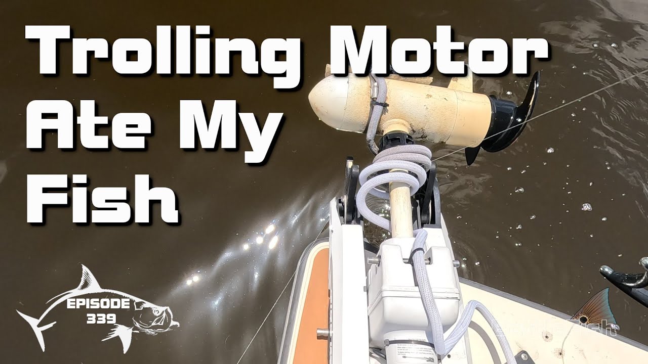 Trolling Motor Ate my Fish - Doubled Up RedFish St Johns River Orange ...