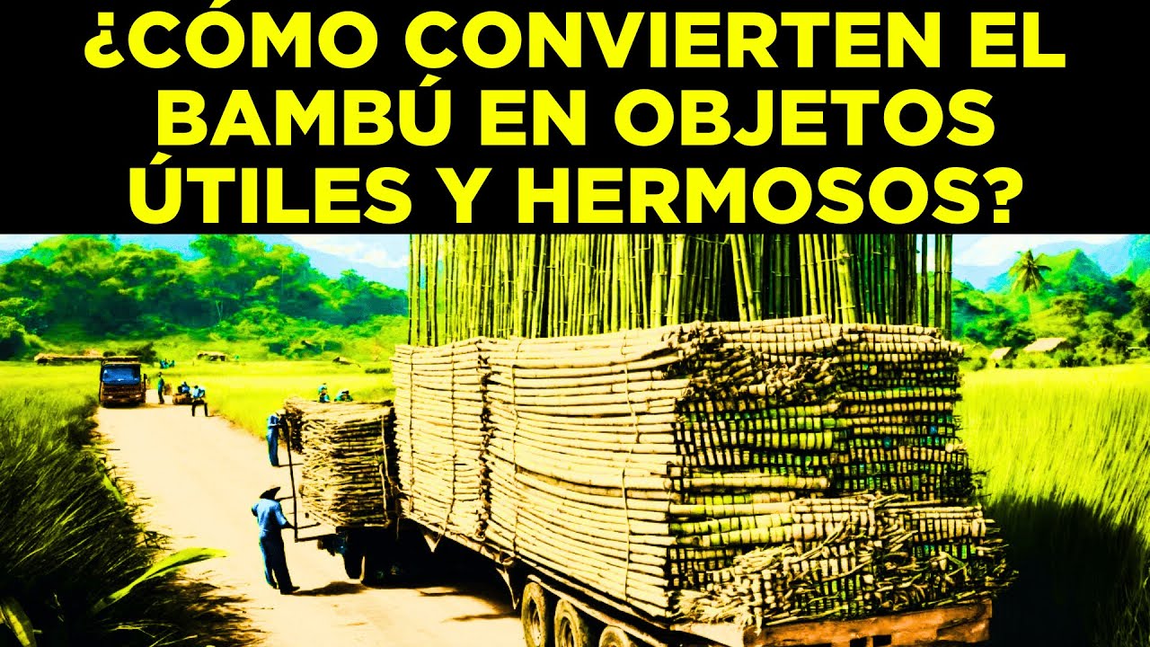 Fabricación de productos de bambú: Sostenibilidad y ecología en cada ...