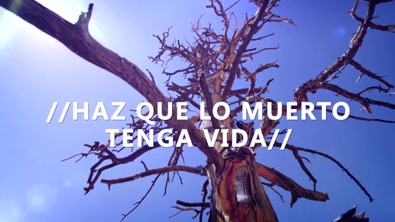 MARIA ORTA - ALIENTO DE VIDA VIDEO LIRICO - YouTube