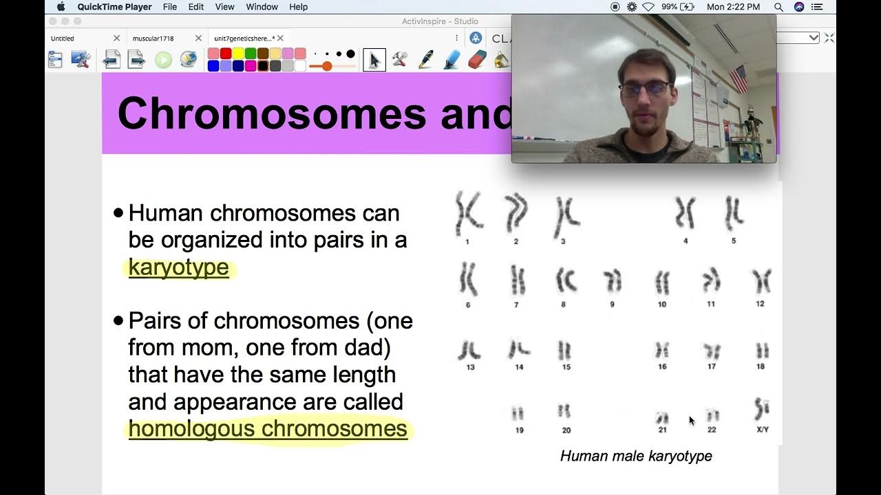 Chromosomes + Inheritance - Life Science/Biology (HS-LS3-1) - YouTube